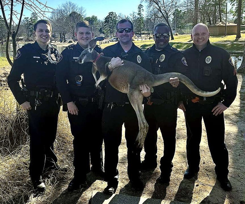 Police respond to report of kangaroo in Spring Lake Park and meet a pet ...