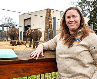 Zoo offers chances to view eclipse, animals’ reactions to it ...