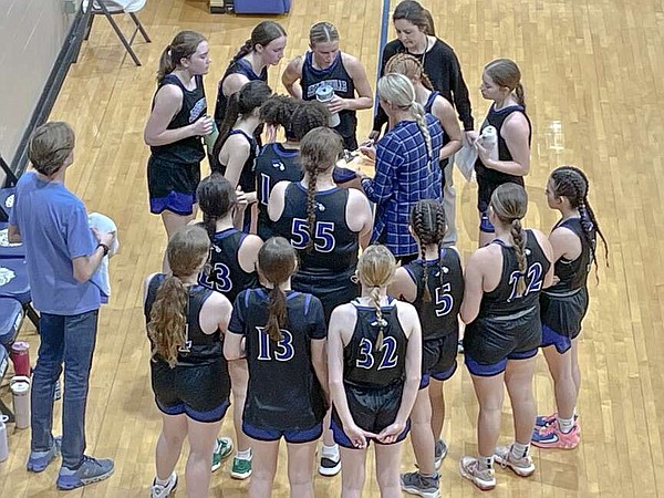 Jessieville Lady Lions advance to semifinals tonight in regional ...