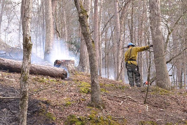 Homepage | Hot Springs Sentinel Record