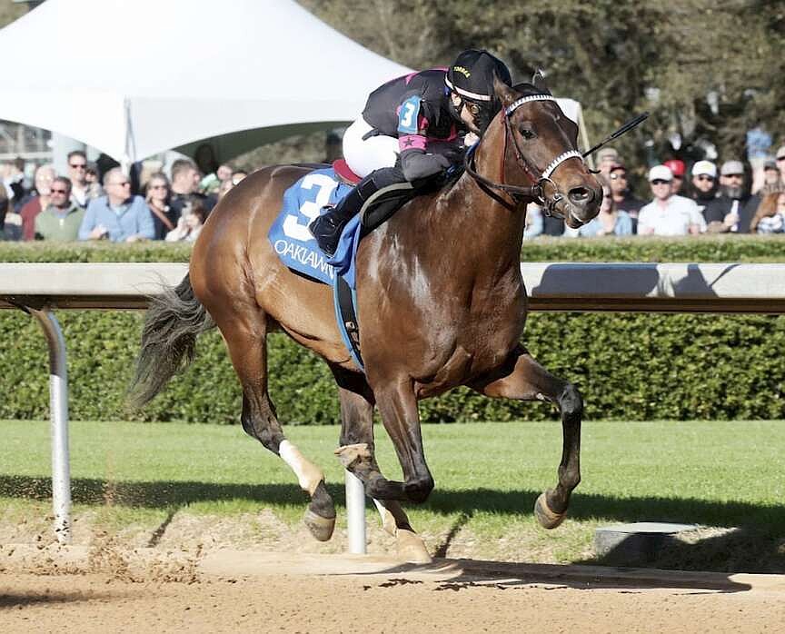 Bohemian Bo and Kantex shine in Oaklawn stakes’ | Hot Springs Sentinel ...