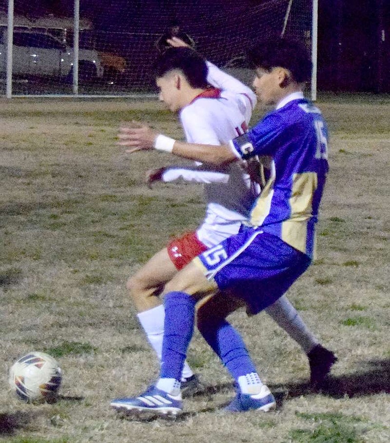 Bulldogs, Lady Bulldogs face Green Forest in first home match ...