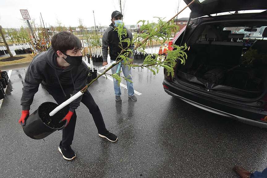City of Bentonville plans spring tree giveaway for April 27 | The ...