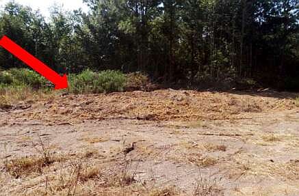 State to take another look into how Miller County handled excavated ...