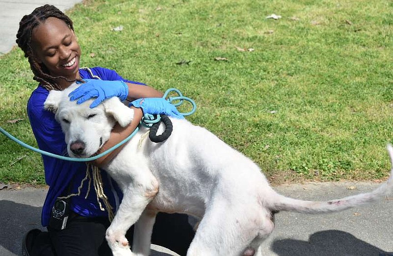 Egg hunt and dog parade start Easter | Pine Bluff Commercial News