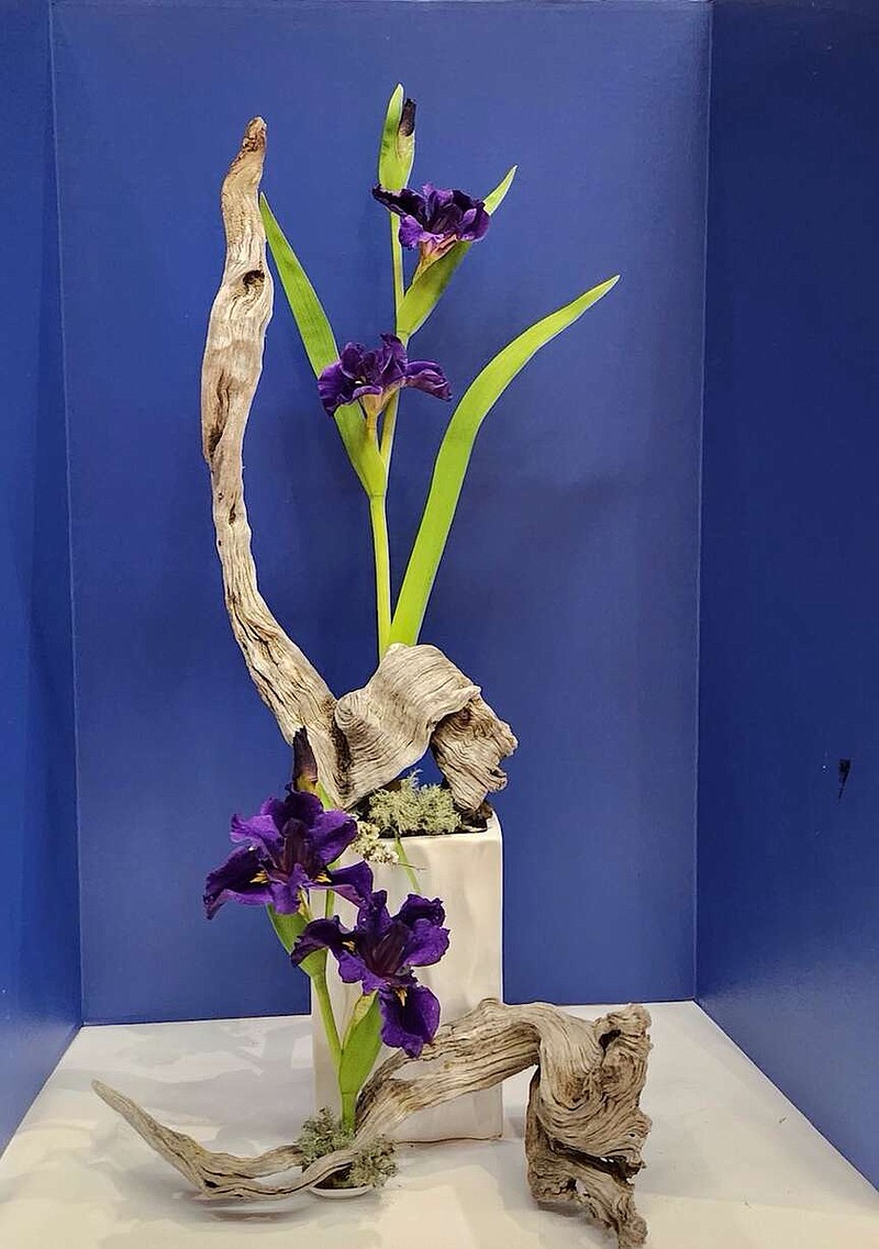 2024 Iris Show set for Saturday at Westminster Presbyterian | Hot Springs Sentinel Record