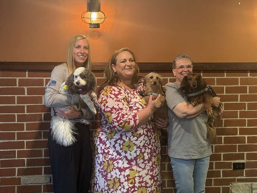 Therapy Paws provides comfort, smiles to local children | Fulton Sun