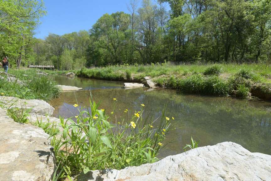 Coler Mountain Bike Preserve celebrates firefly sanctuary certification ...