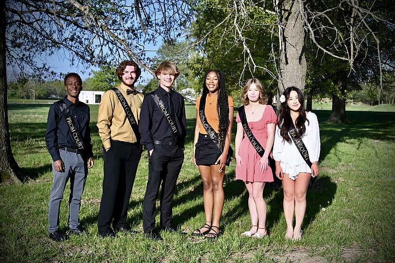 Fulton Public Schools 2024 Prom Royalty and Junior Attendants | Fulton Sun