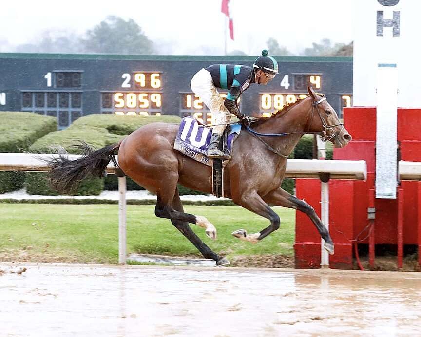 Two Derby horses have Arkansas ties | Northwest Arkansas Democrat-Gazette