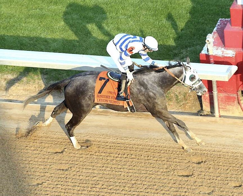 Oaks draws two local stakes winners | Hot Springs Sentinel Record