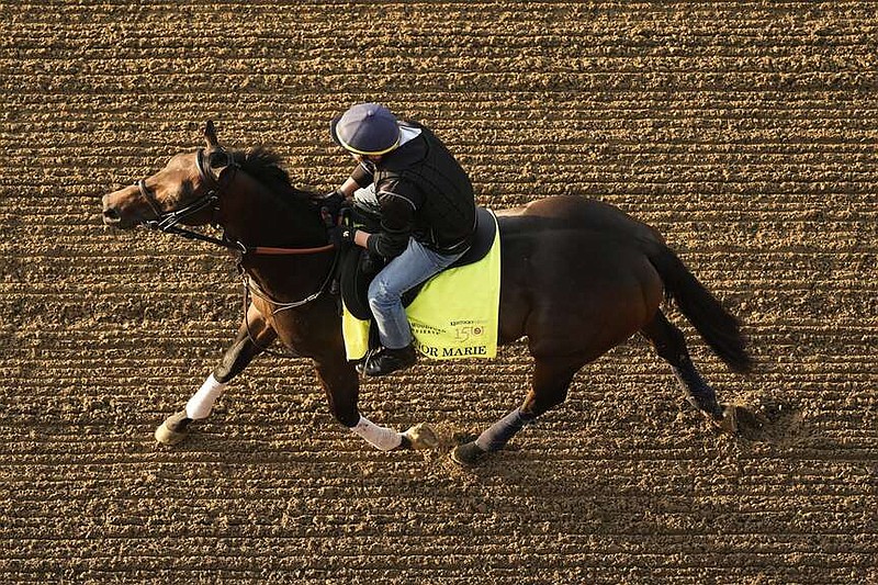Kentucky Derby: Texarkana family-owned Honor Marie a long shot to bet ...