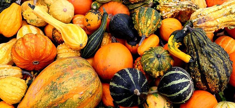 Ornamental Gourds | Westside Eagle Observer