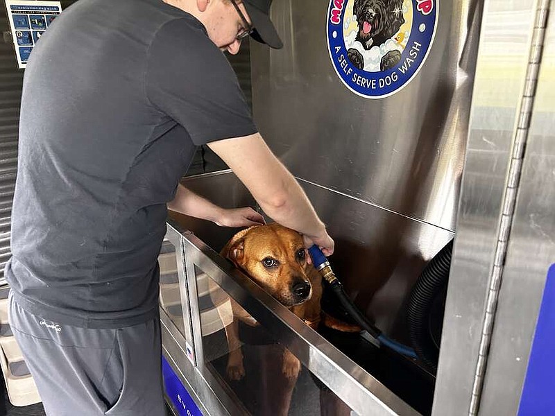Texarkana opens a self-serve dog wash business: Maggie’s Suds Shop ...