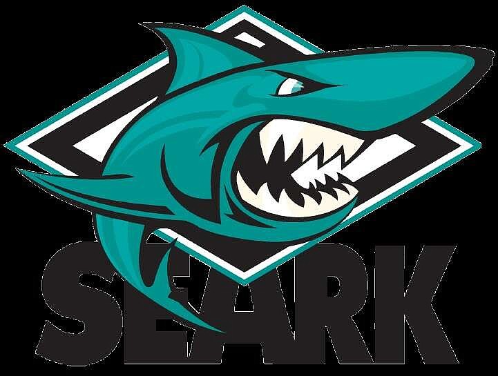 SEARK hires Prysock as softball coach | Pine Bluff Commercial News