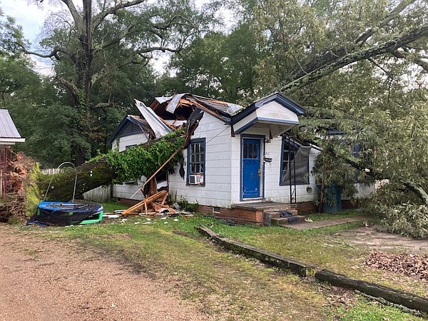 Tree falls on house during storm | Magnolia Banner News