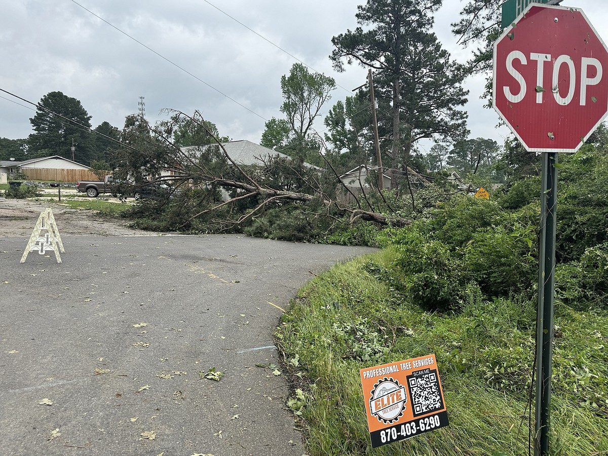 How to prioritize planting storm-resistant trees | Hot Springs Sentinel ...