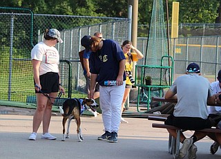 Bark at the Park brings dogs to ballgame | Jefferson City News Tribune