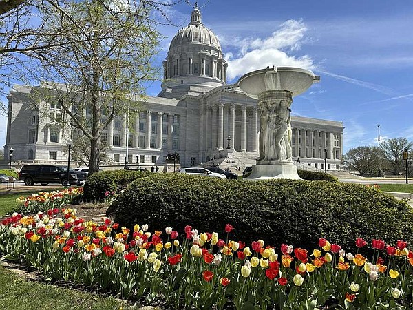 Federal court strikes down Missouri’s revolving-door lobbying ban ...