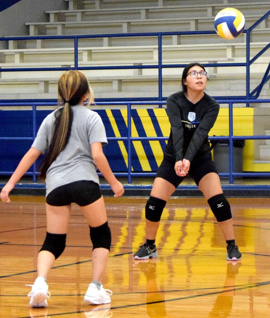 Decatur Volleyball | Westside Eagle Observer