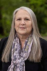 Runway Group, Blue Crane representatives answer Bella Vista officials ...