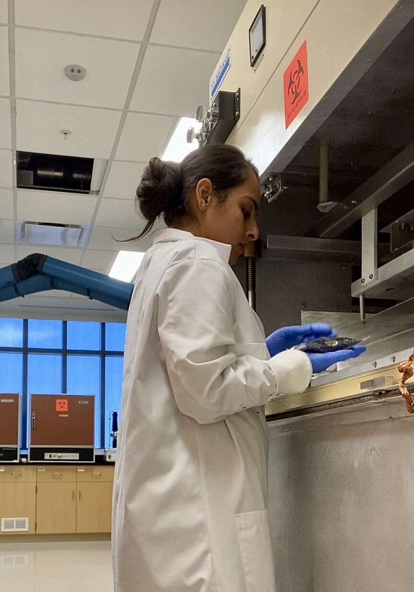 Fighting bacteria in foods studied | Pine Bluff Commercial News