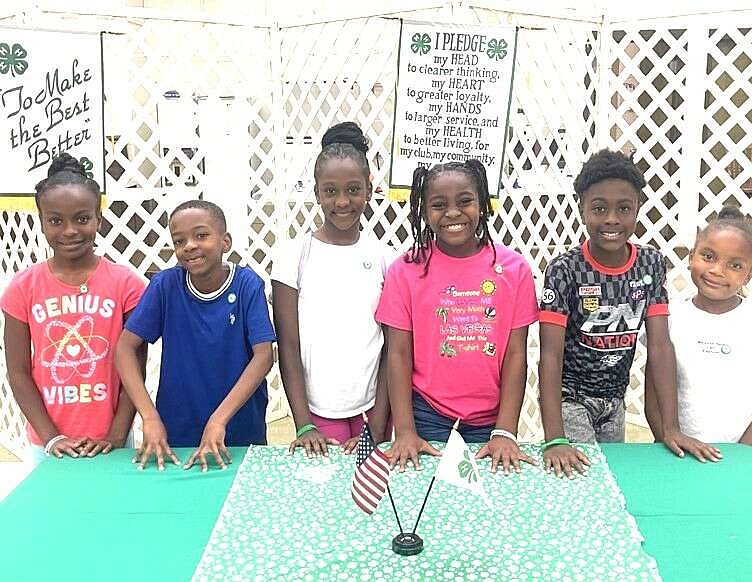 County 4-H club meets for election of officers | Pine Bluff Commercial News