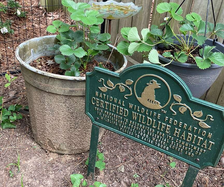 Sniffspot, an app-based service, provides a fun environment where dogs ...