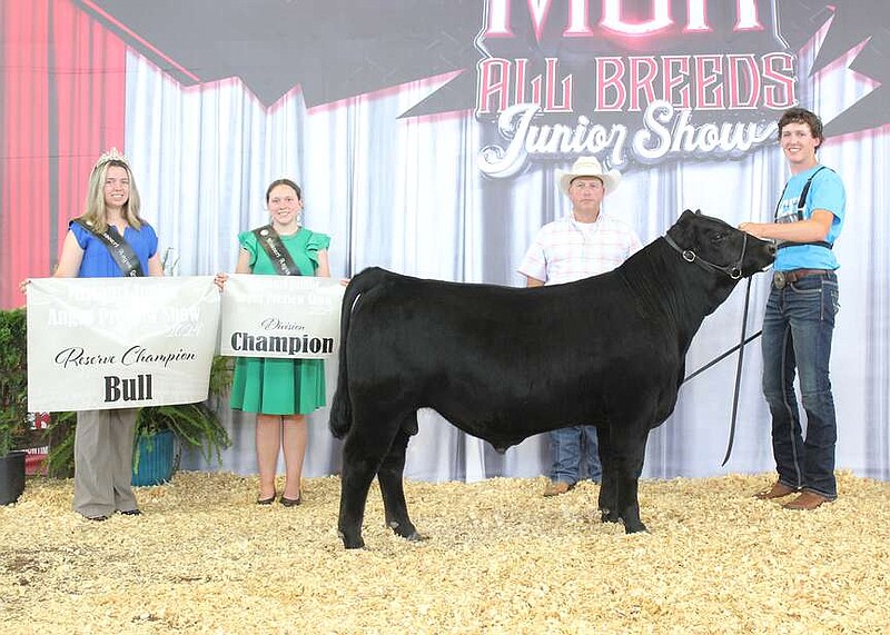 Fulton resident wins awards at Missouri Angus Preview Shows | Fulton Sun