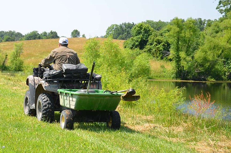 Deer hunting success begins long before the season starts | Fulton Sun