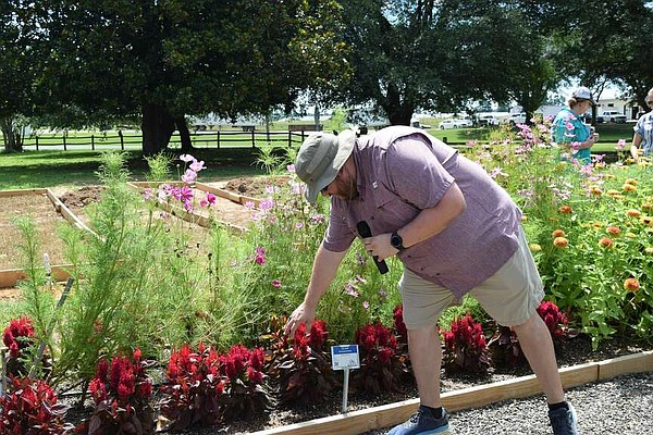 Horticulture Field Day in Hope offers newest findings | Pine Bluff ...