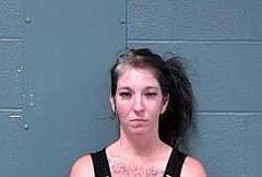 Steedman woman faces violating protection order charges | Fulton Sun