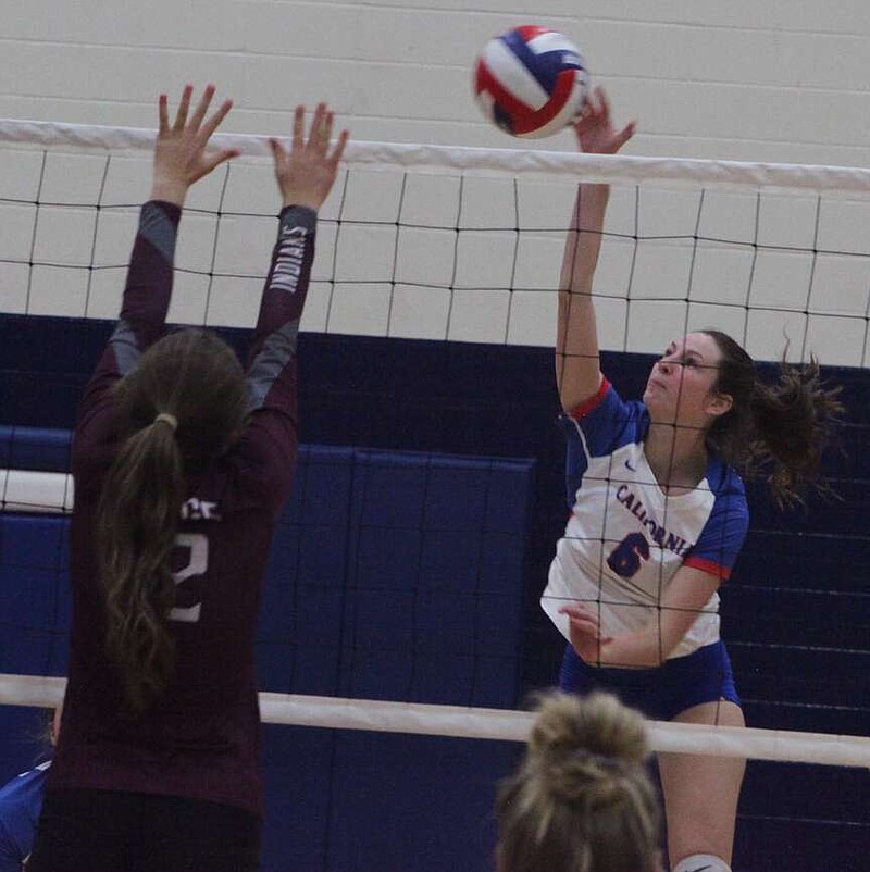 Pintos Spotlight: Penelope Cotten | California Democrat