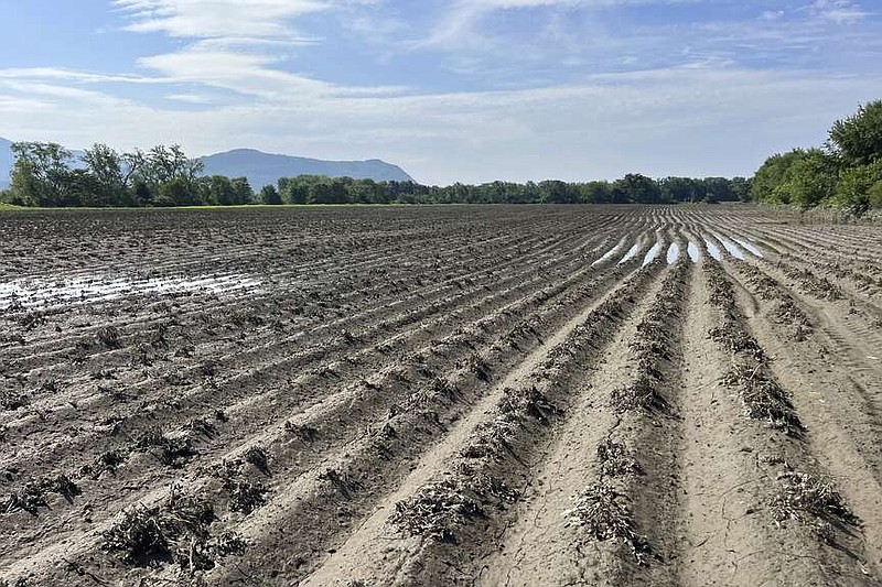 Vermont farmers lose crops to flooding for second year in a row ...