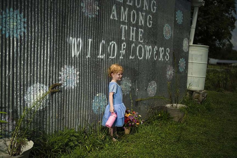 Among the wildflowers | The Arkansas Democrat-Gazette - Arkansas' Best ...