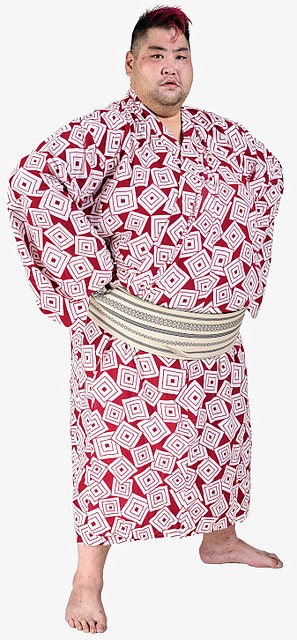 Library, Sister City program to present Sumo Storytime | Hot Springs ...