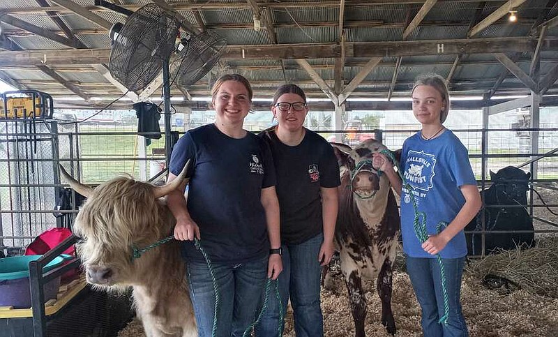 Local 4-H, FFA member gives back at county fair | Jefferson City News ...