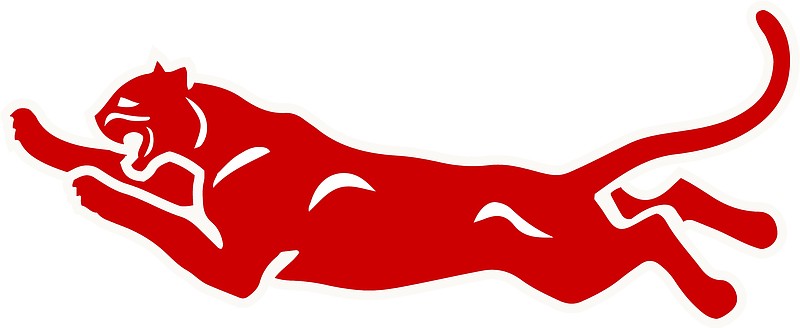 Let's go Red and Wild! Meet the Panthers community pep rally | Magnolia ...