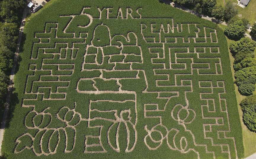 Farmers honor Charles Schulz with ‘Peanuts’ corn mazes | Jefferson City ...