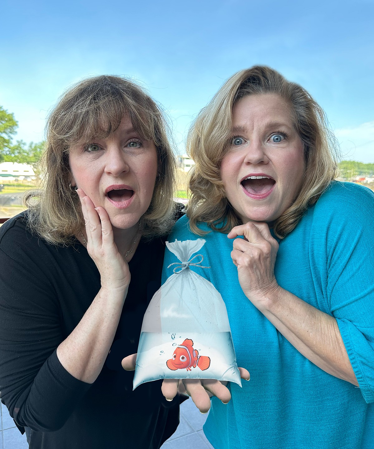 The Penguin Project hosts Open Call for Disney's "Finding Nemo, Kids ...