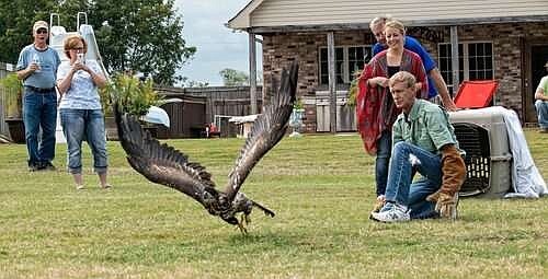 Paul, raptors return for Audubon program | Hot Springs Sentinel Record