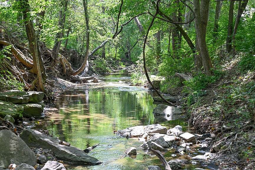Nonprofits ready to restore Spout Spring in Fayetteville’s Walker Park ...