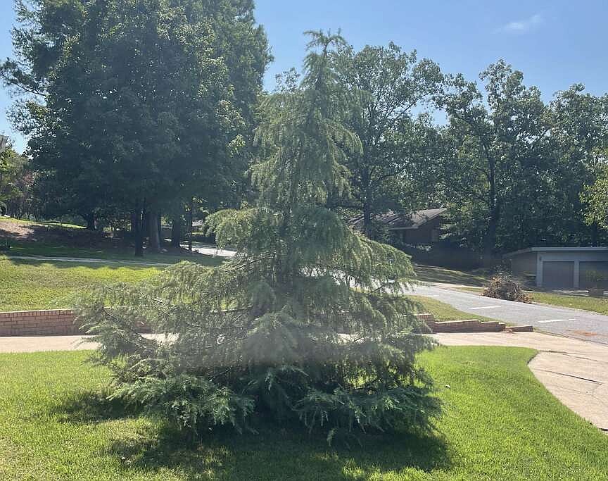 IN THE GARDEN: Leaning trees can gently be helped to stand more upright ...