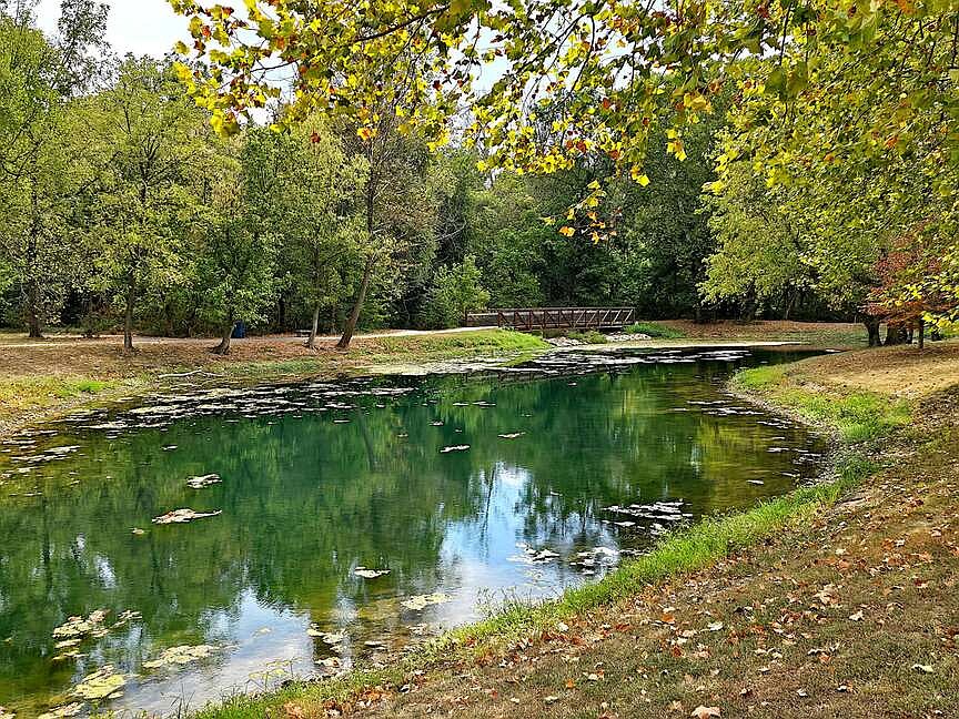 Flint Creek Nature Park showing signs of fall | The Washington County ...