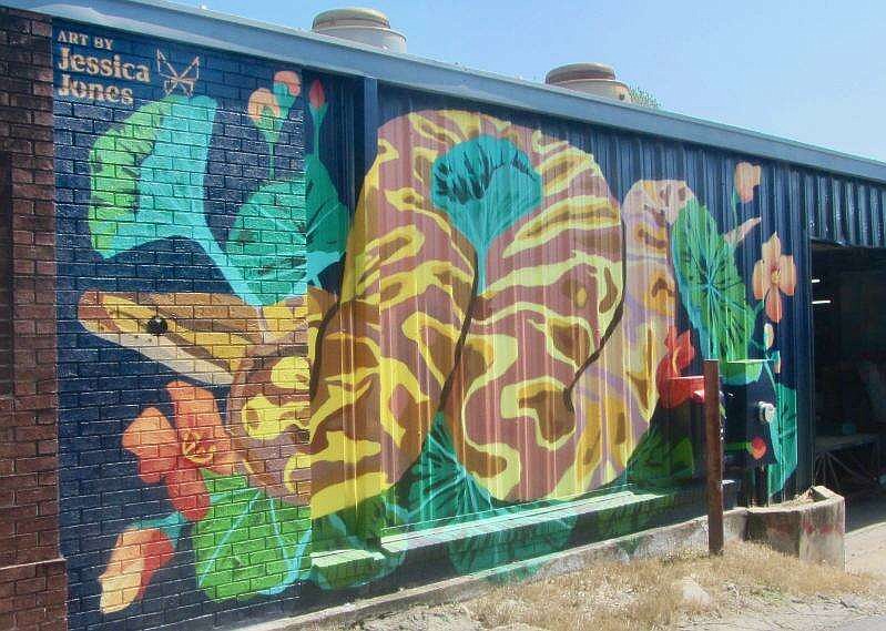 ARKANSAS SIGHTSEEING: Discover Little Rock's vibrant public murals ...