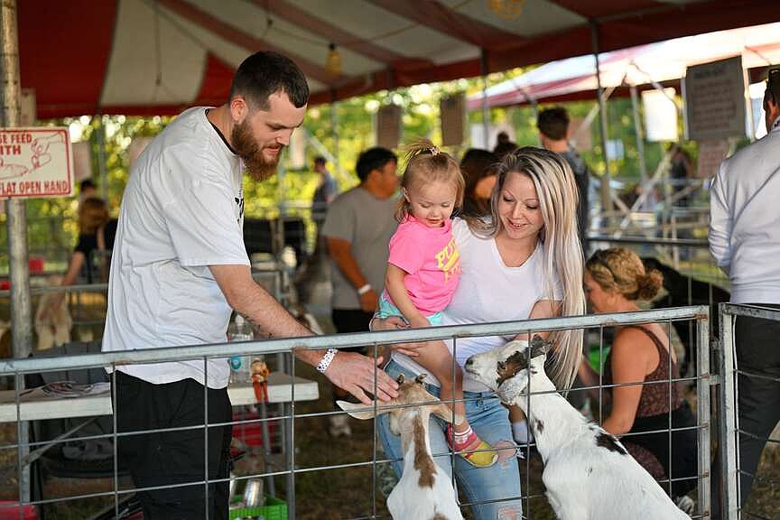 PHOTOS: Lovely evening at the Benton County Fair in Bentonville ...