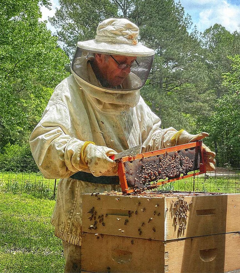 ‘Heroes of the Hive’: Beekeeper to speak to HSV Audubon | Hot Springs ...