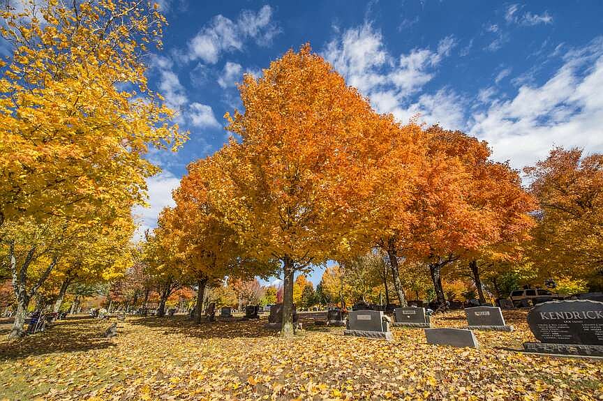 ARKANSAS SIGHTSEEING: Six routes that showcase the beauty of the state ...