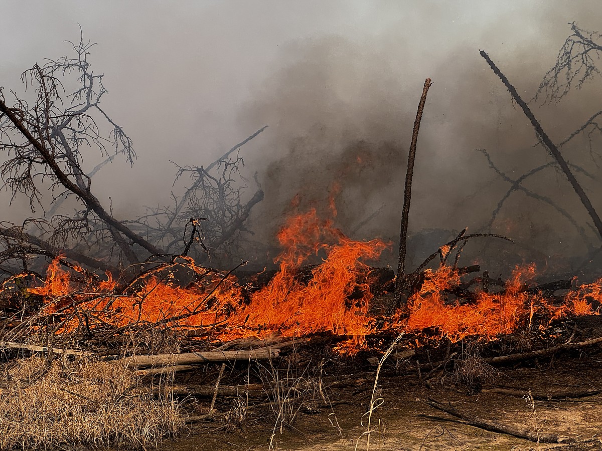 Wildfire conditions to continue as no rain is expected until late next ...