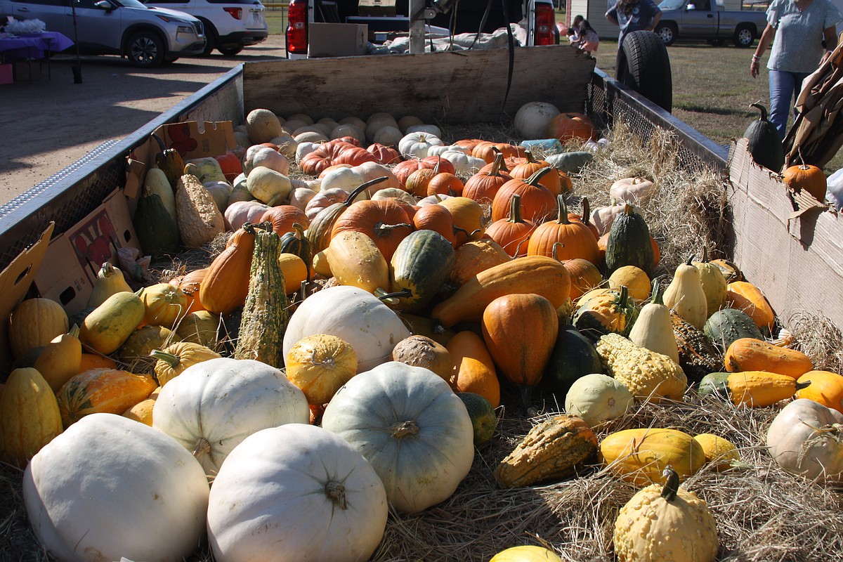 Camden Fall Craft Fair held at Sportsplex | Camden News